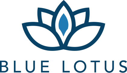 Handmade meditation cushions, massage mats and yoga props – Blue Lotus